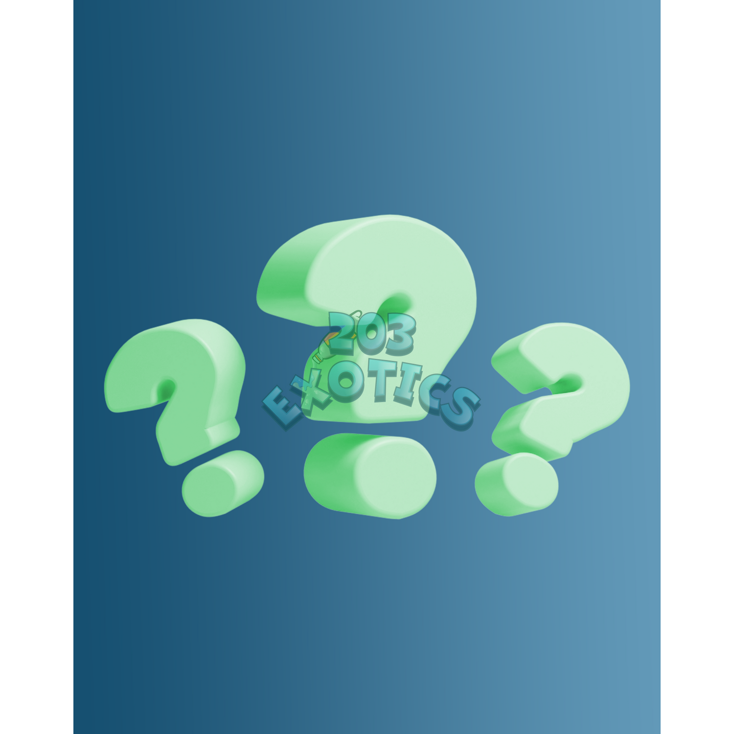 203 Exotics Mystery Box | 203 Exotics