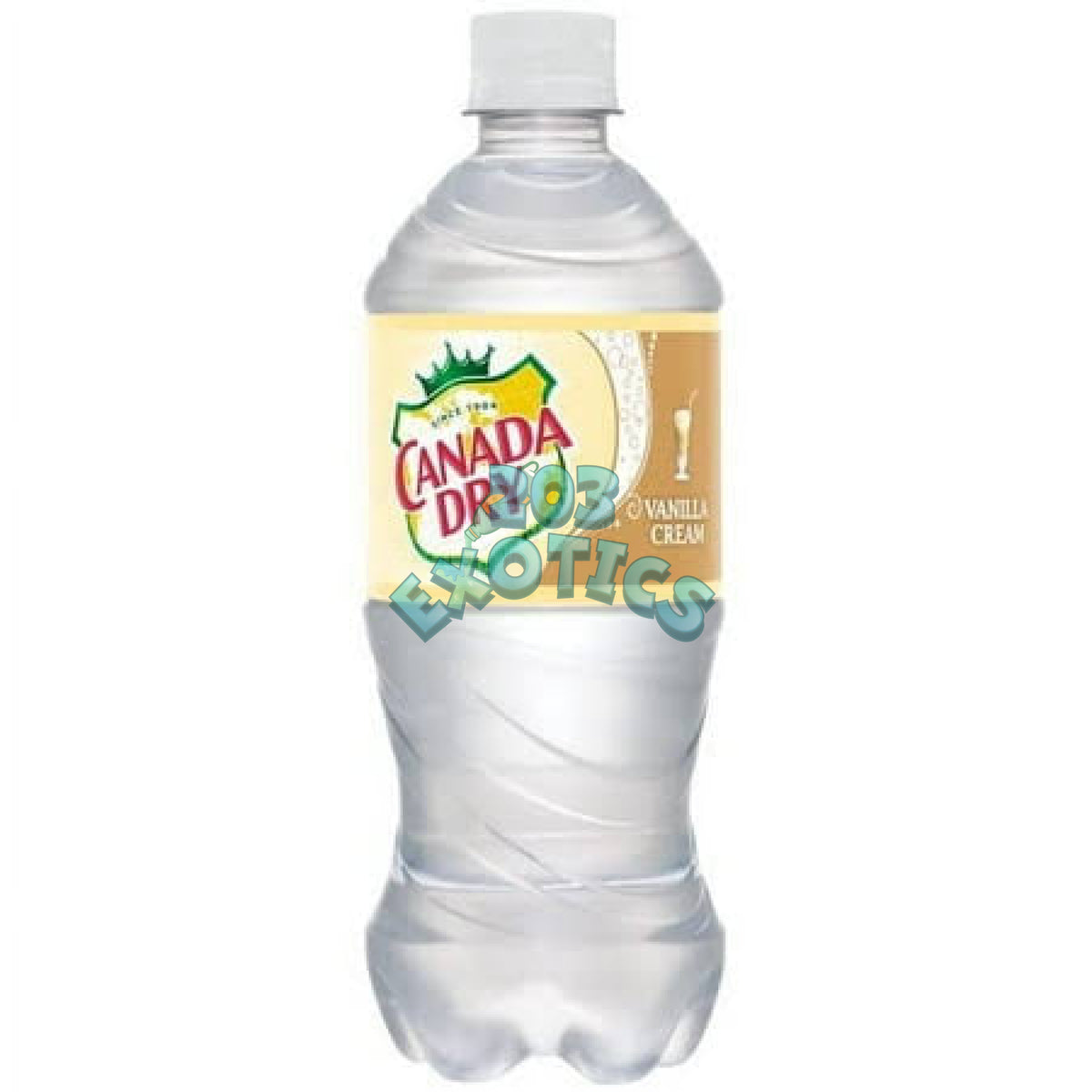 Canada Dry Vanilla Cream (20oz) | 203 Exotics